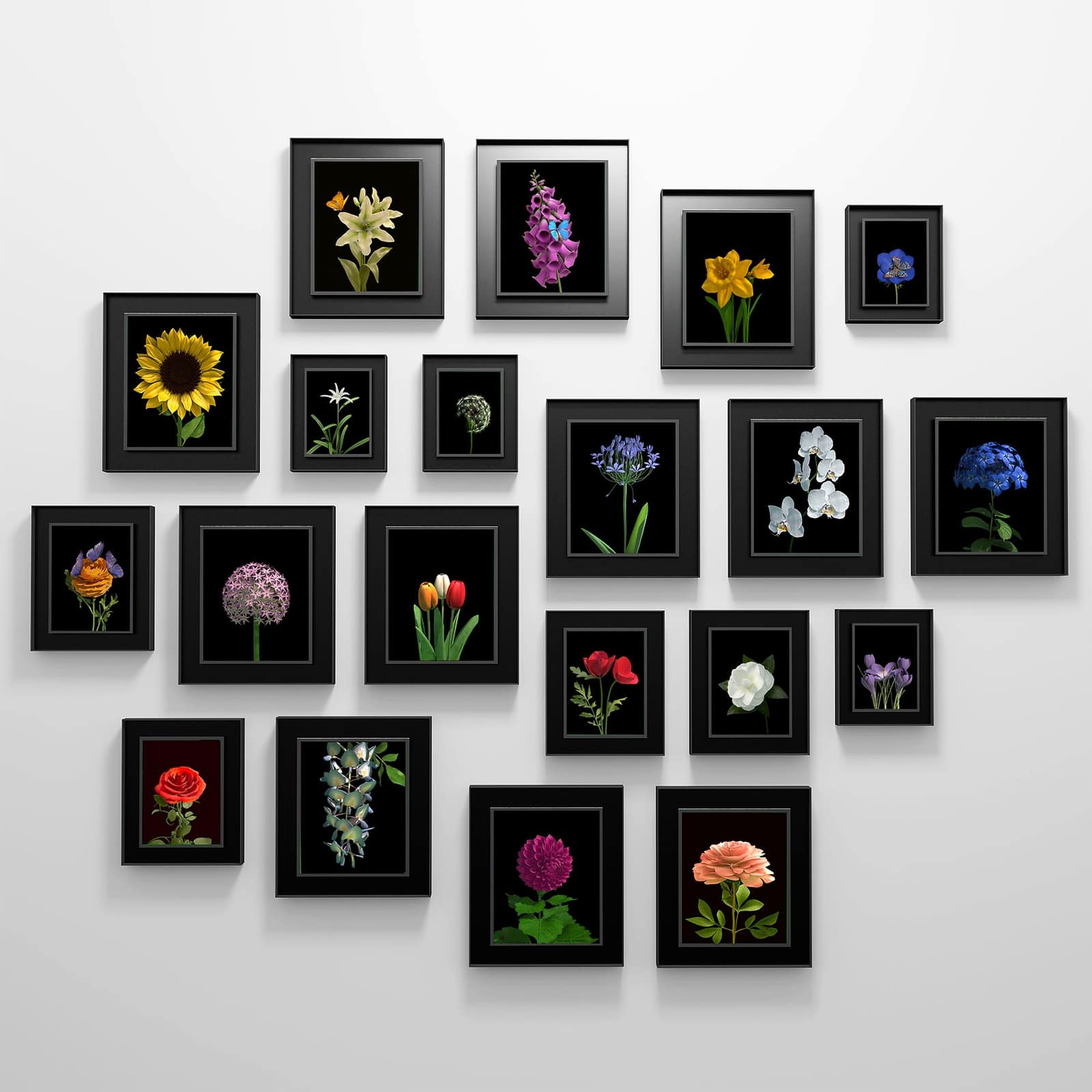 Dominic Harris - artworks