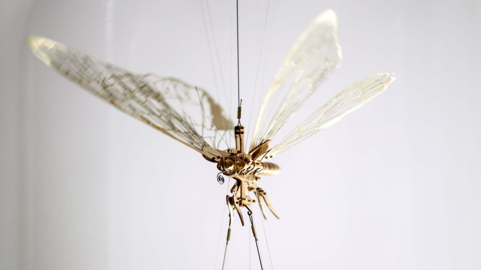 Dominic Harris - artworks