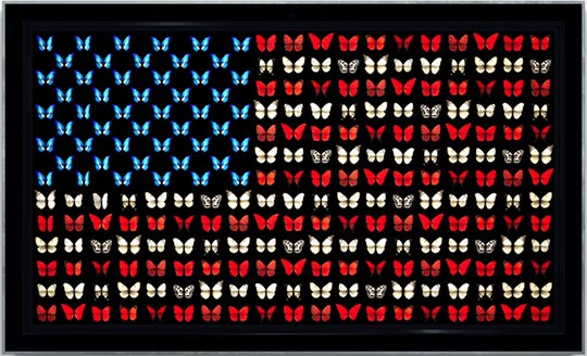 Dominic Harris - artworks