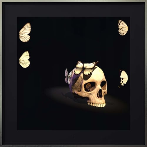 Dominic Harris - artworks