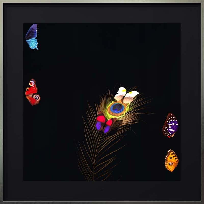 Dominic Harris - artworks