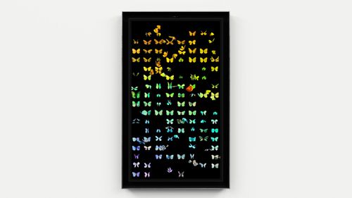 Dominic Harris, Official Artist Website