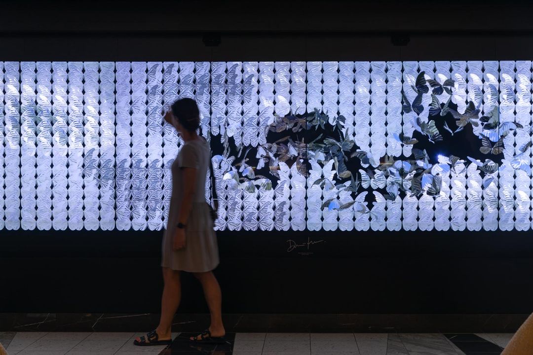 Dominic Harris - artworks