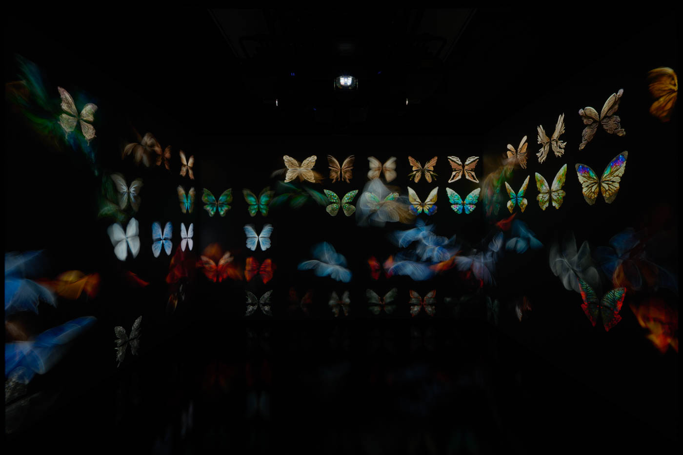 Dominic Harris, Official Artist Website