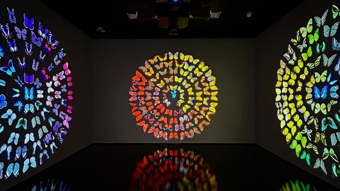 Dominic Harris - artworks