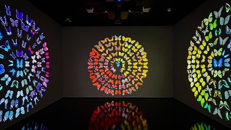 Dominic Harris - artworks