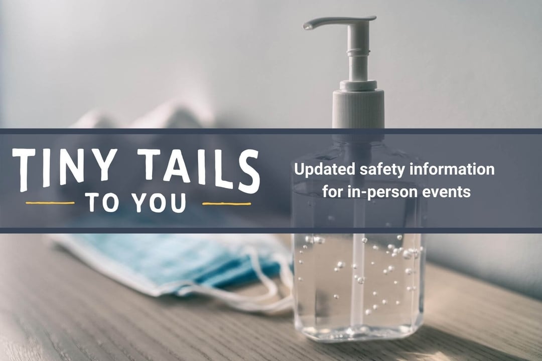 Cheese | Tiny Tails to You