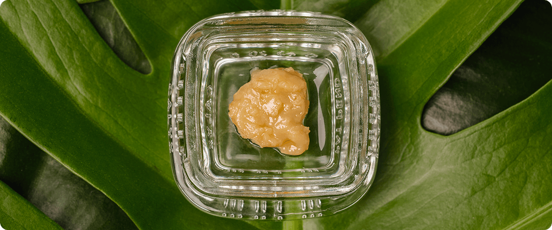 Preferred Weed Dispensary in Spokane Valley: Primo Cannabis