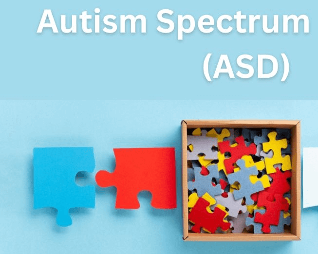 Unraveling Autism Spectrum Disorder: A Closer Look at ASD