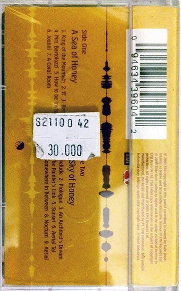 Kate Bush Aerial A Sea Of Honey