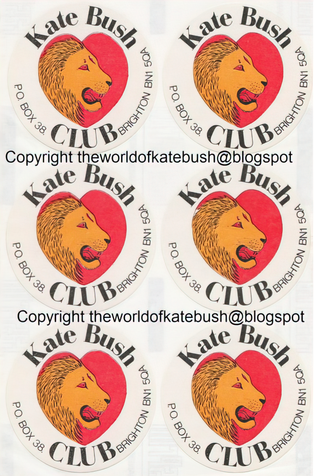 Kate Bush Collectibles | Tour & Stores | Kate Bush Club