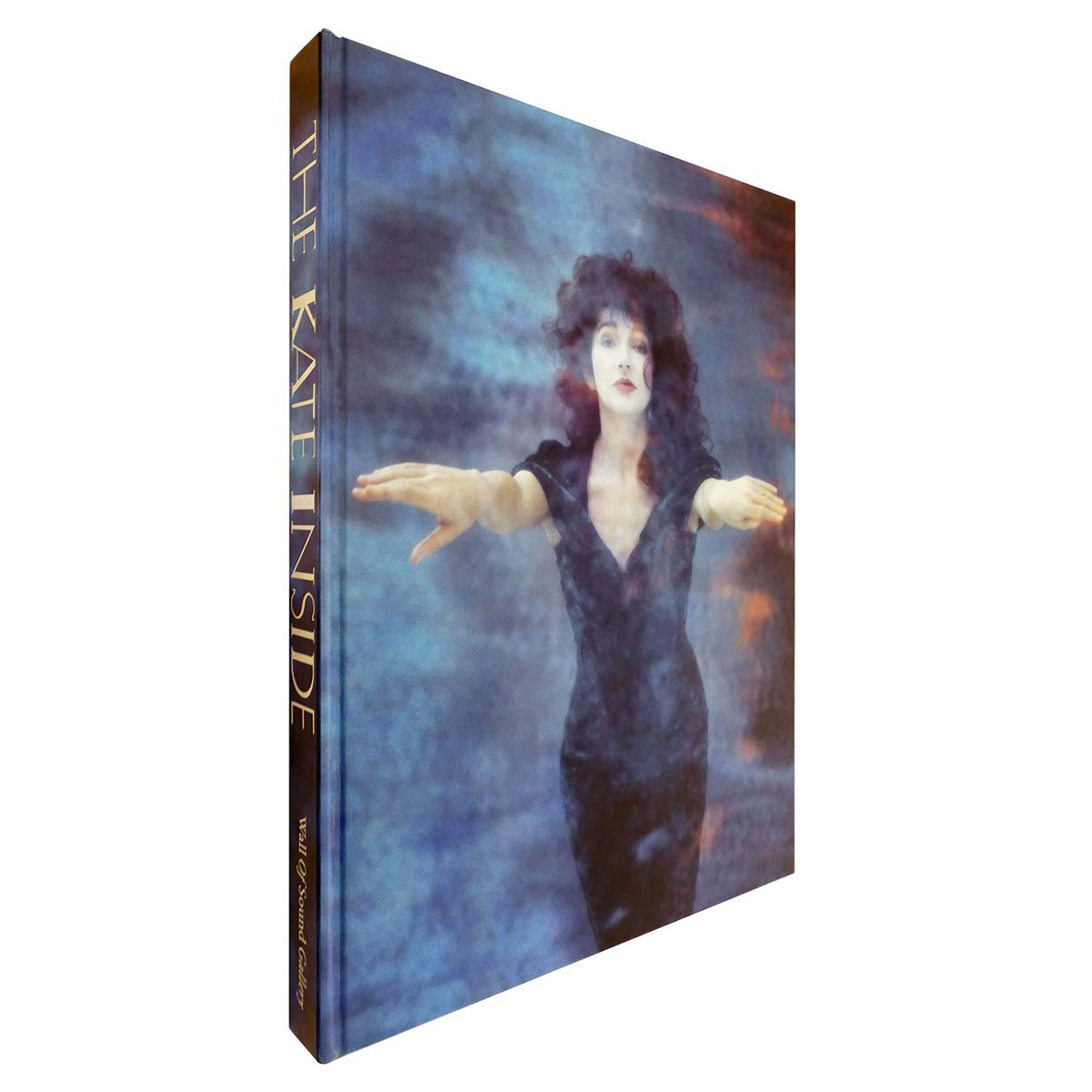 'The Kate Inside' Book | Memorabilia | Kate Bush Collectibles