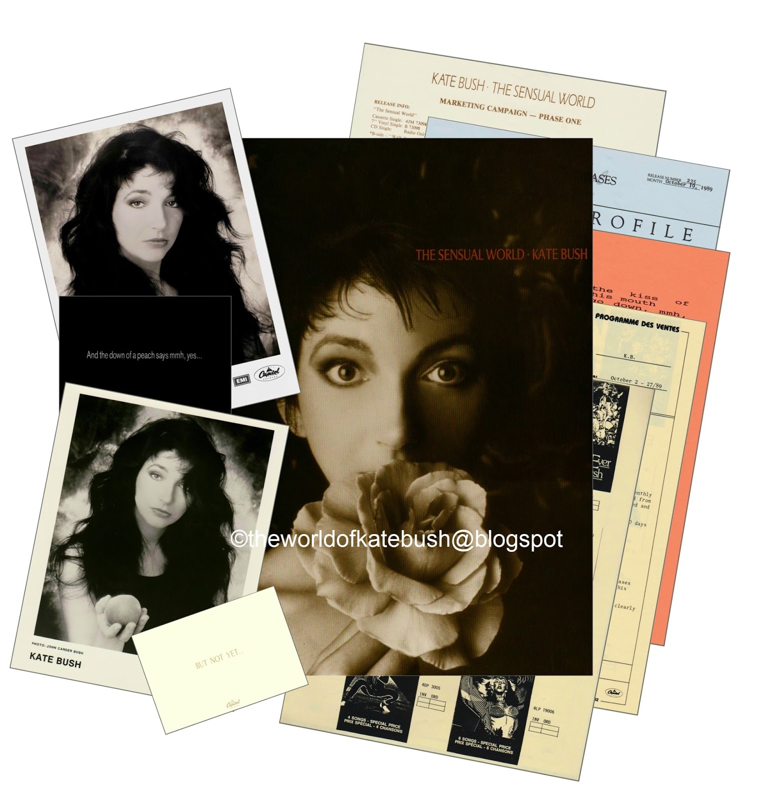 'The Sensual World' Album Press Kit | Memorabilia | Kate Bush Collectibles