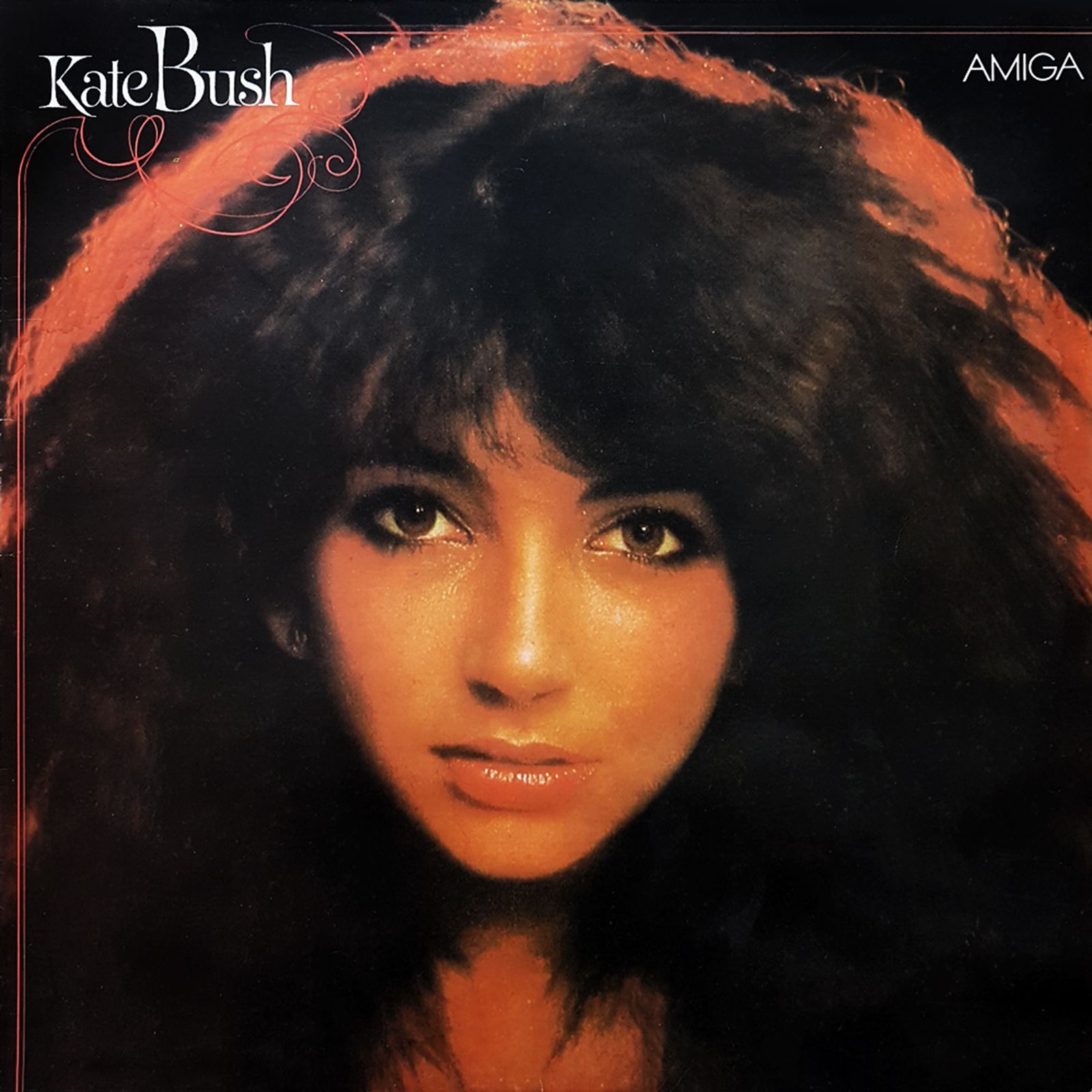 Kate Bush | Albums & Compilations | Kate Bush Collectibles