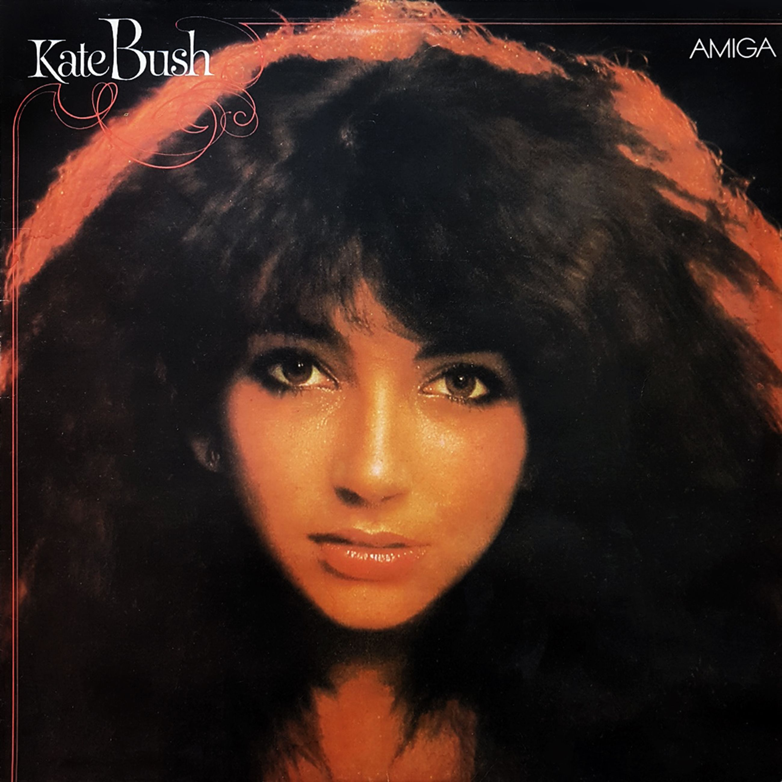 Albums & Compilations | Kate Bush Collectibles