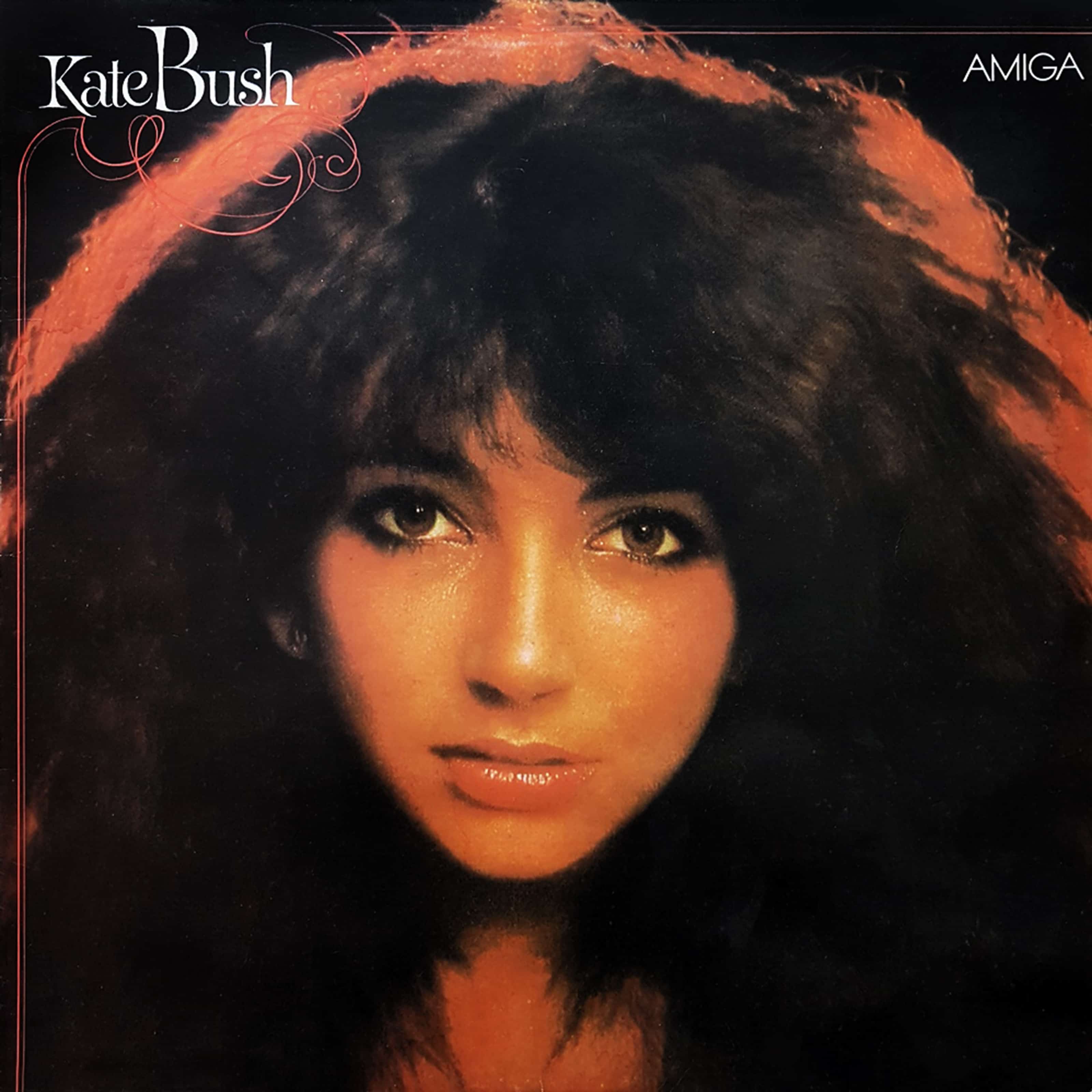 Albums & Compilations | Kate Bush Collectibles
