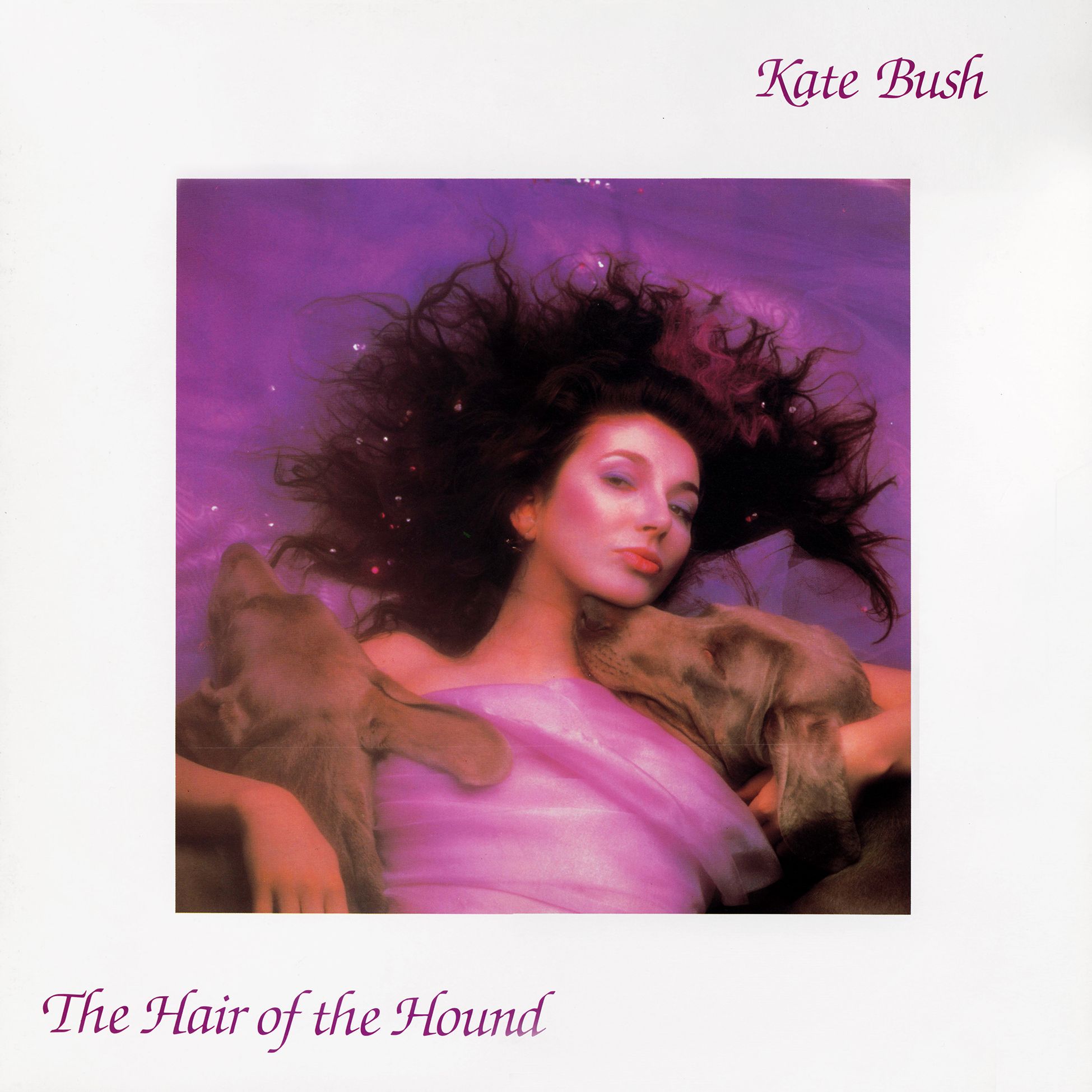 The Hair Of The Hound | Videos | Kate Bush Collectibles