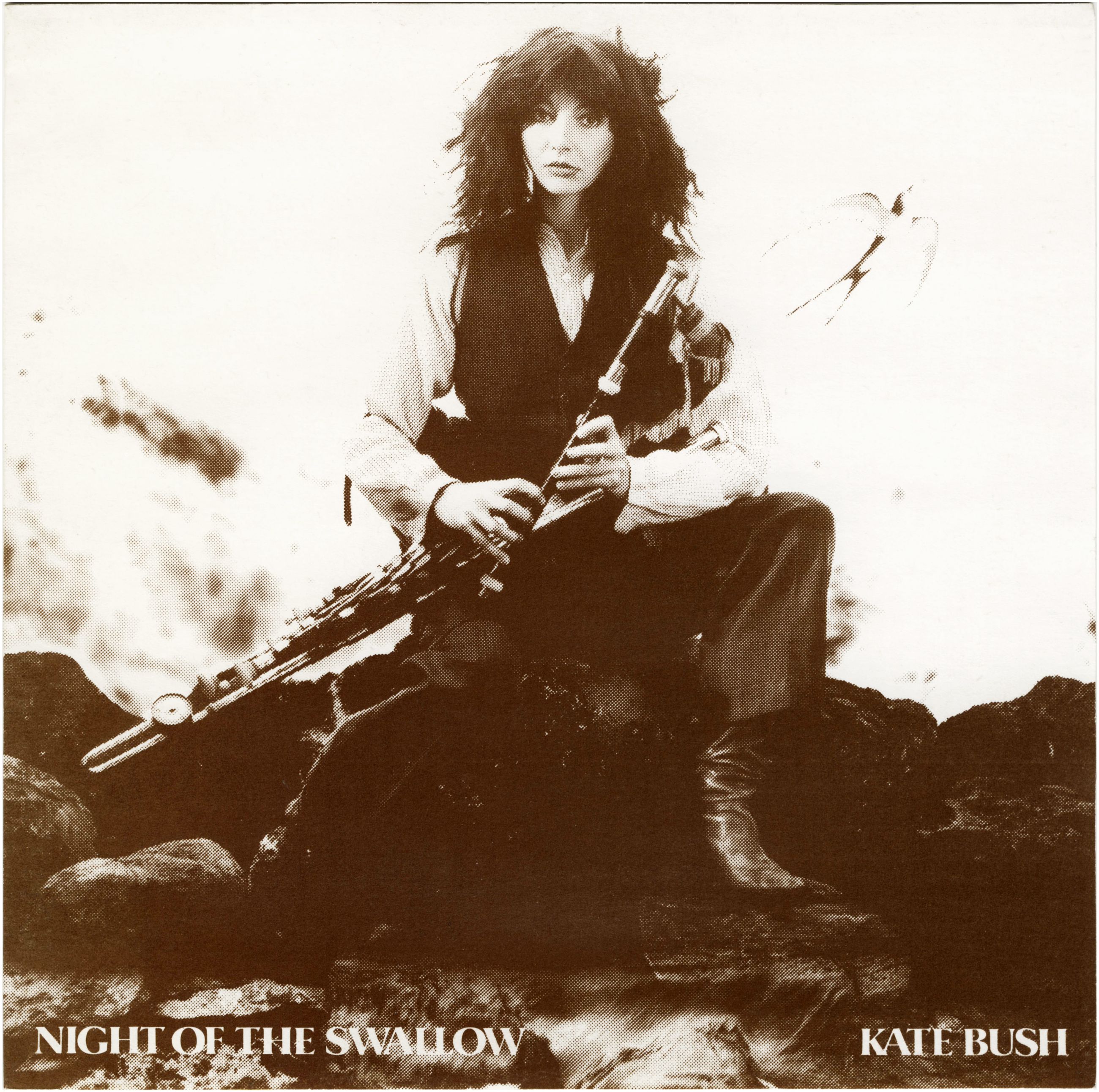 Night Of The Swallow | Singles & EPs | Kate Bush Collectibles