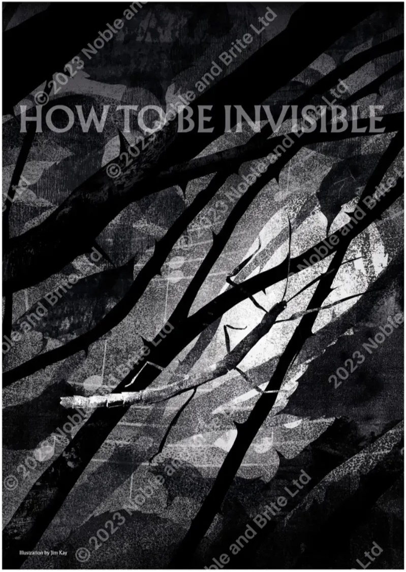 'How To Be Invisible' Poster | Tours & Store | Kate Bush Collectibles