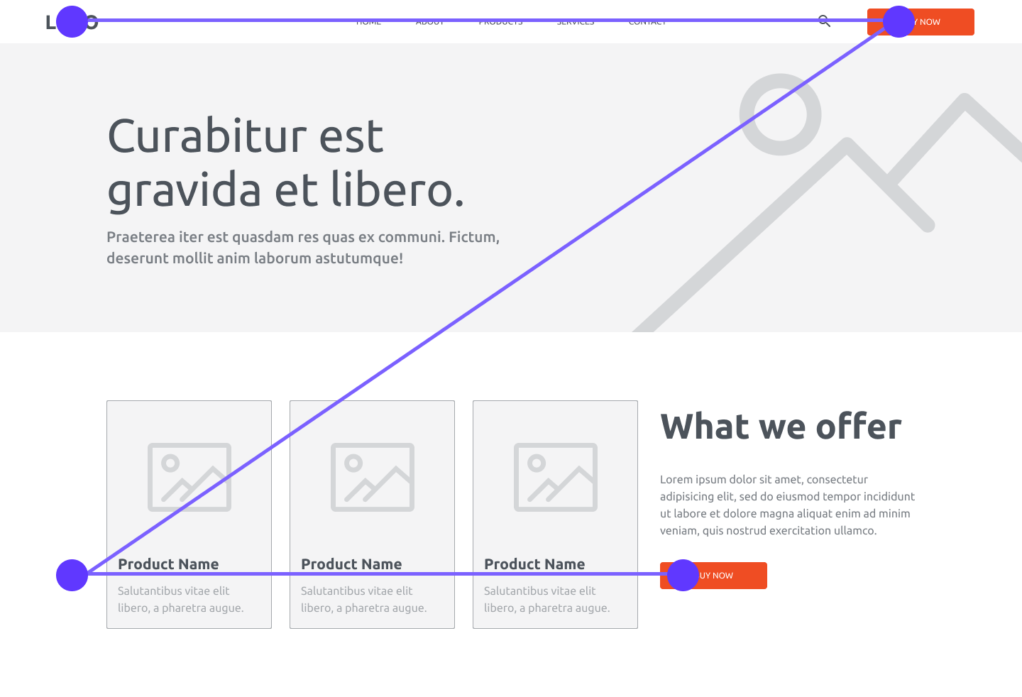 Tips for the Best Homepage Design Ever | Integrity XD