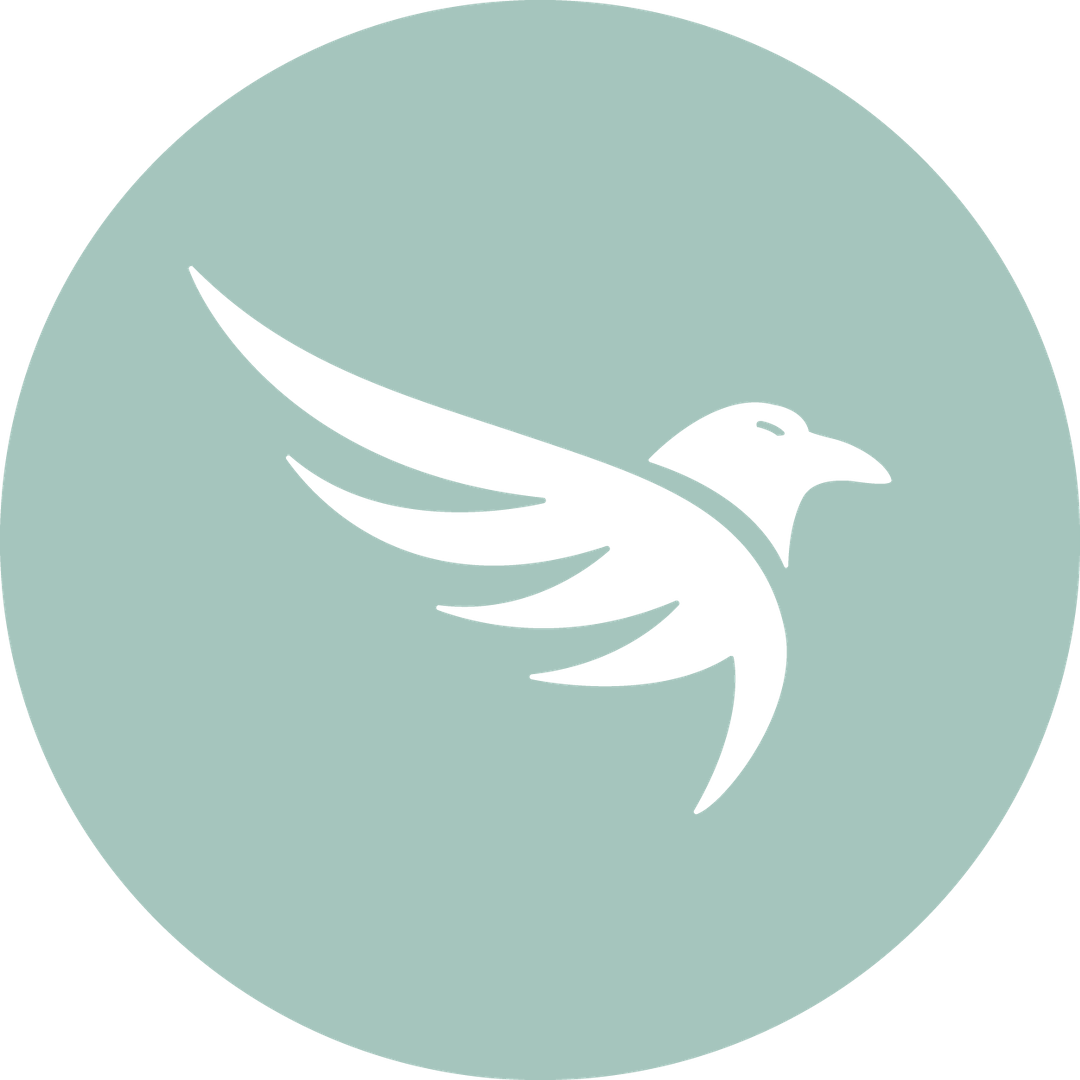 OpenAI OpenAI