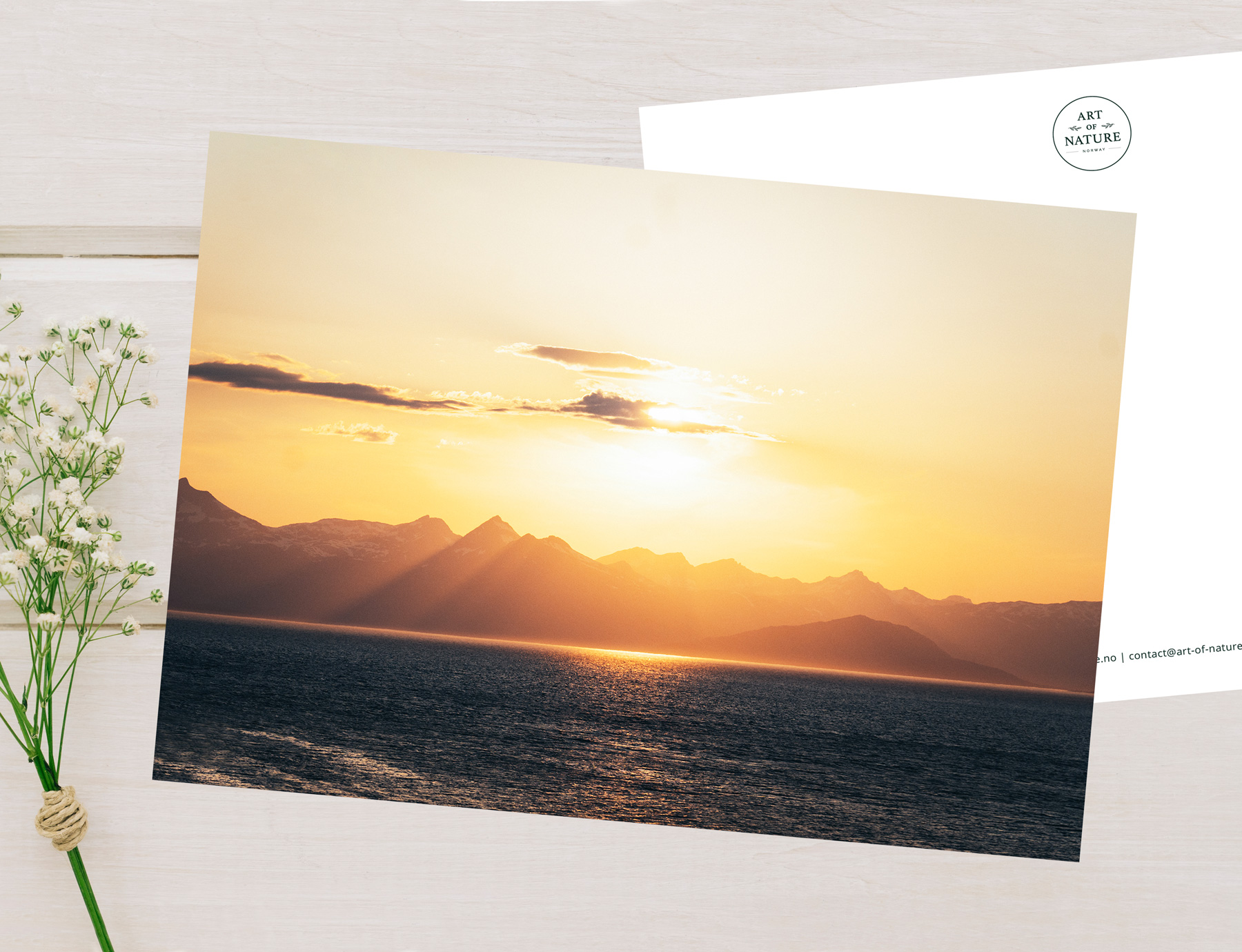 Art of Nature - Norway | Art Shop | Midsummer Night