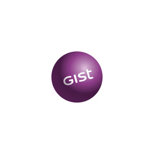 gist Pitch Deck | Pitch Deck Hunt