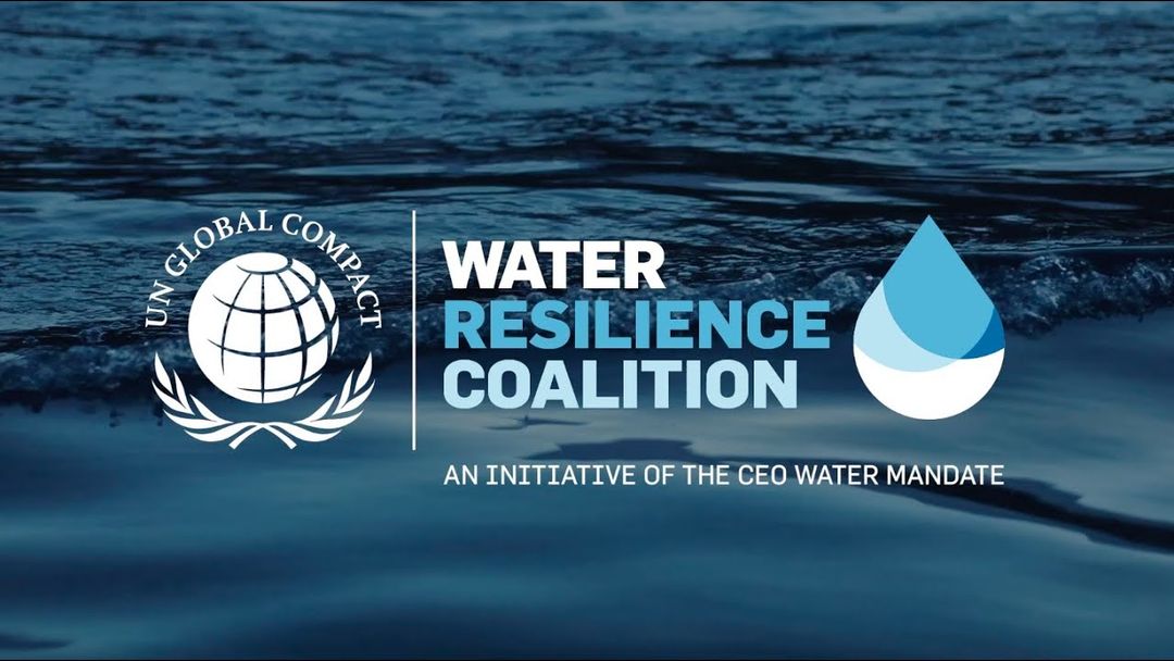 Leading CEOs launch Global Water Resilience Strategy to span 100 Water ...