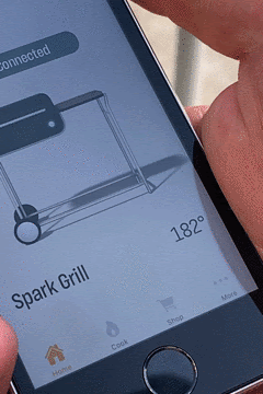 Spark Grills Review | The Quality Edit