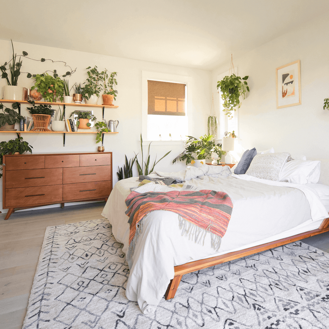 Fernish Review | The Quality Edit