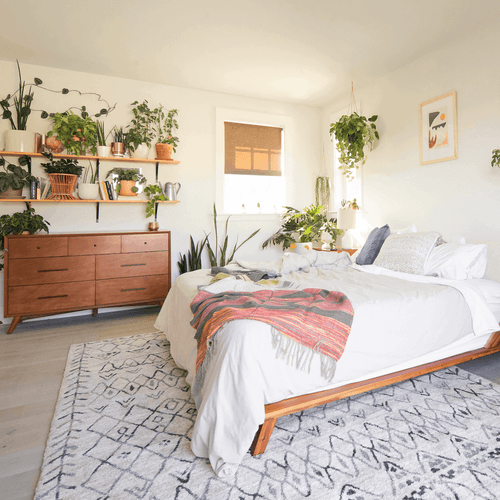 Fernish Review | The Quality Edit