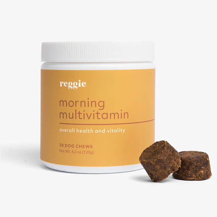 The Quality Edit - Curating The Web's Best Brands