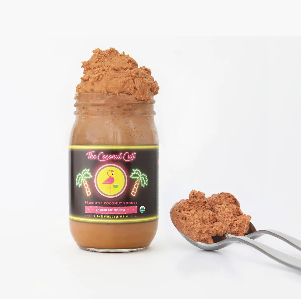 The Coconut Cult Yogurt Honest Review (2023) | The Quality Edit