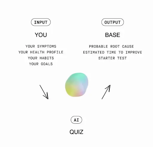 Base Review | The Quality Edit