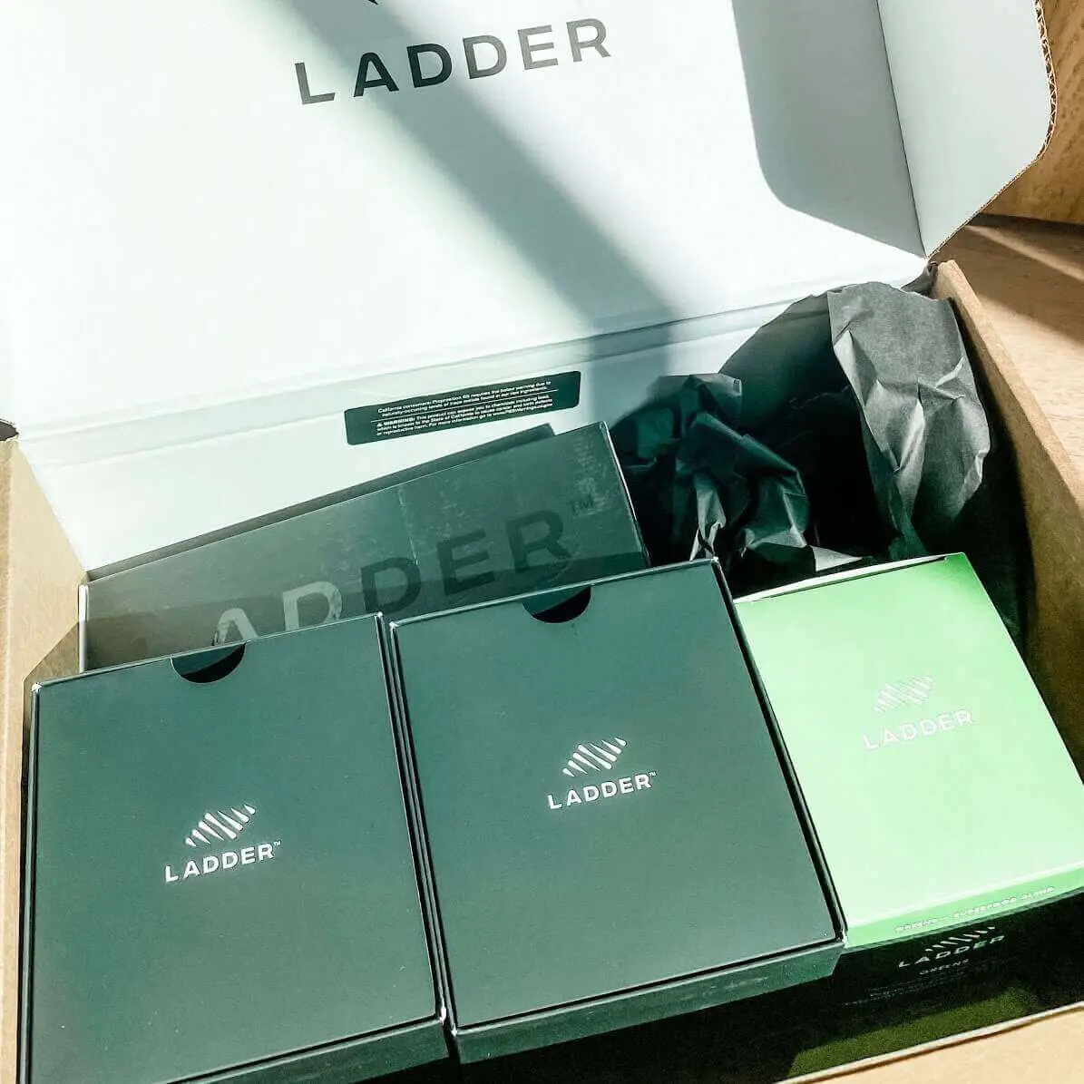 Ladder Review | The Quality Edit