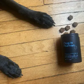 Dog is Human Supplements Review (2022) | The Quality Edit