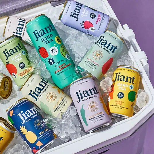 Jiant Hard Kombucha Review 2022 – The Best Kombucha? | The Quality Edit