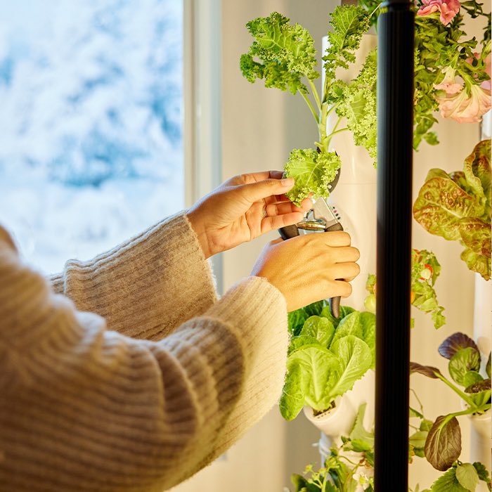 Gardyn Review: Why The Gardyn 3.0 Is The Ultimate Indoor Garden For ...