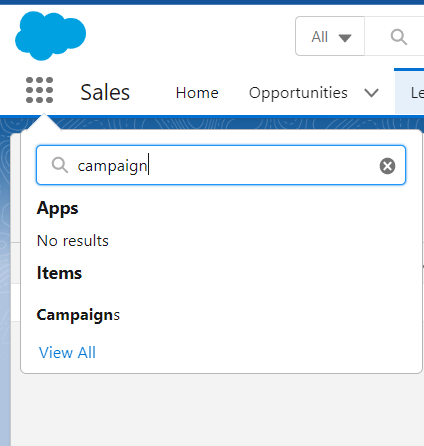 Why and How to set Campaign Member Status on Salesforce | PhoneIQ