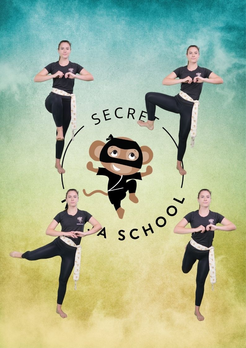 Secret Ninja School