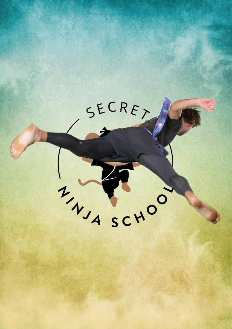 Secret Ninja School