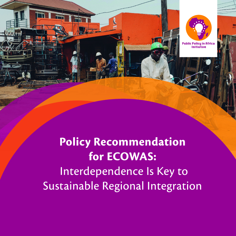 Our Publications | Public Policy In Africa Initiative