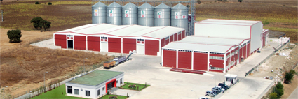 Arbel Rice | Arbel Group