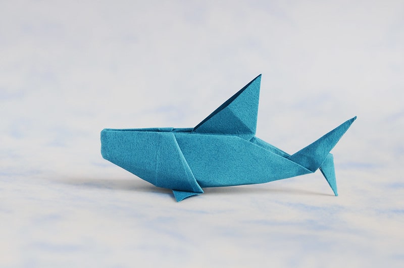 How To Make An Origami Shark Easy Step By Step Guide By Kidadl