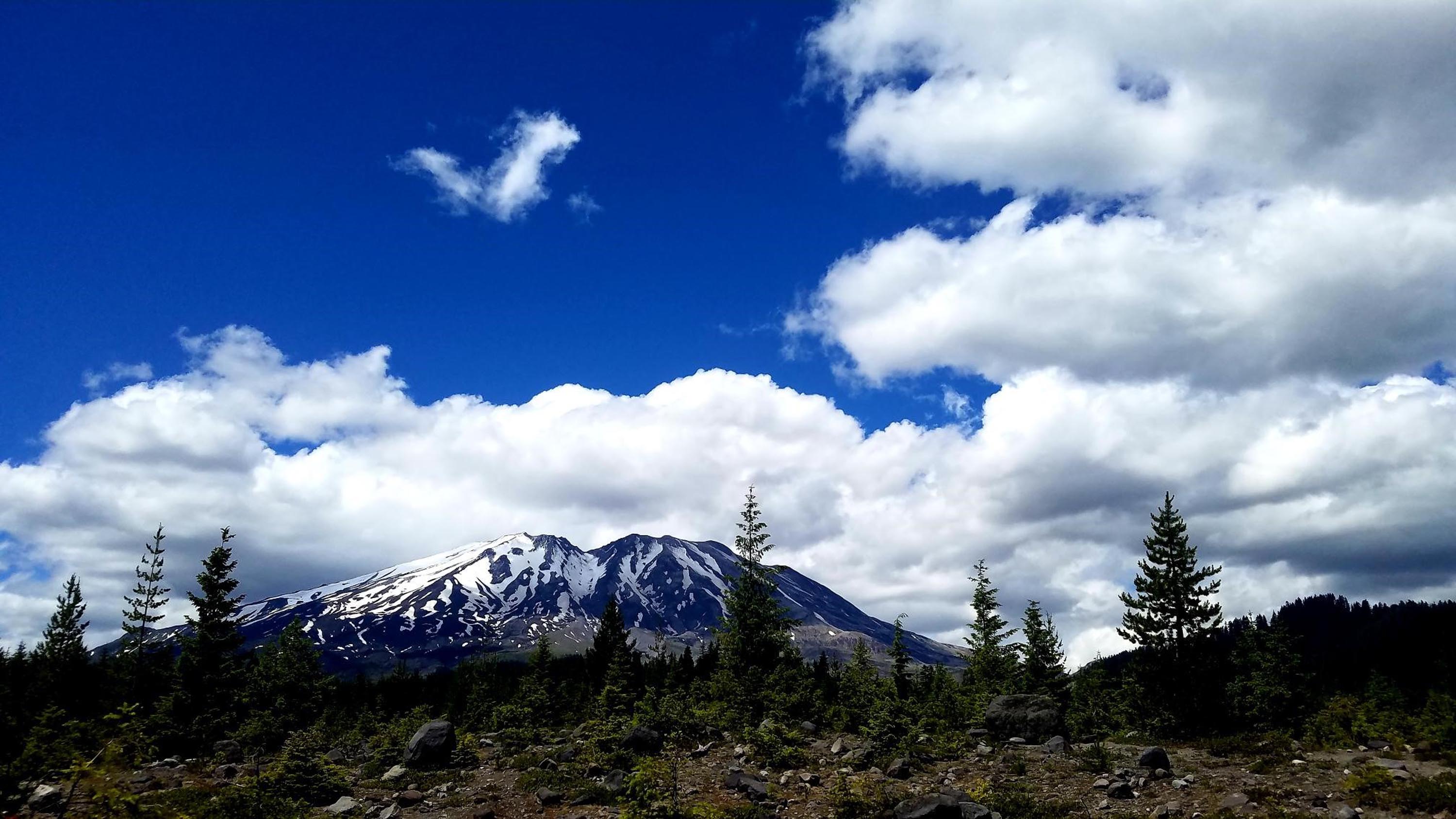 About the Conservation Commission