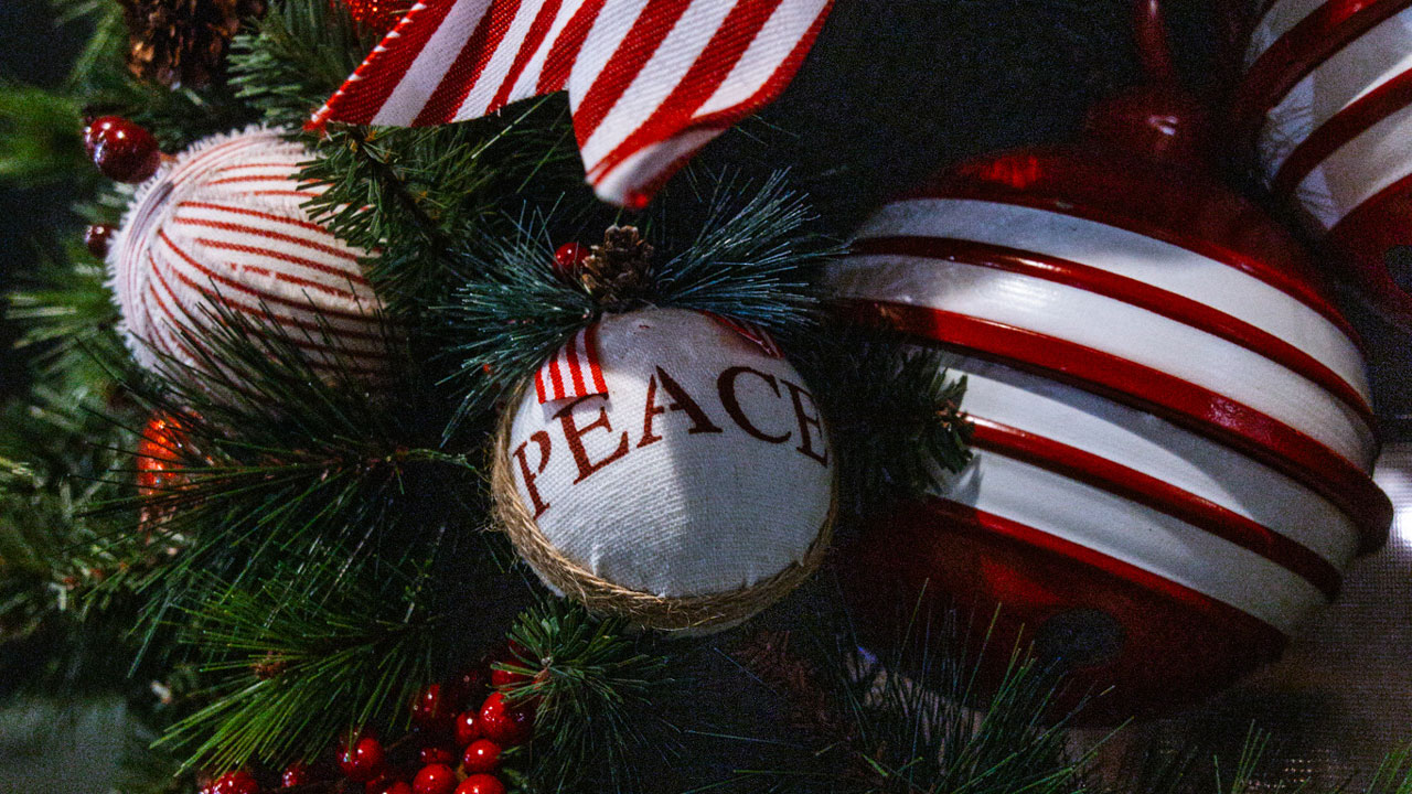 Daily Devotional: Instant Gratification | Dec 07, 2023 | Fellowship Church