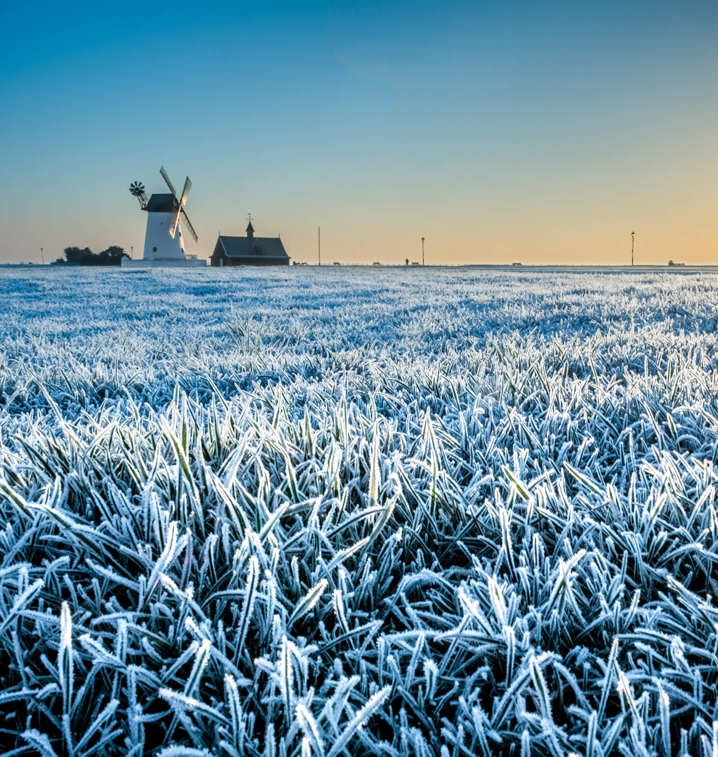 The Festive Season At The Grand