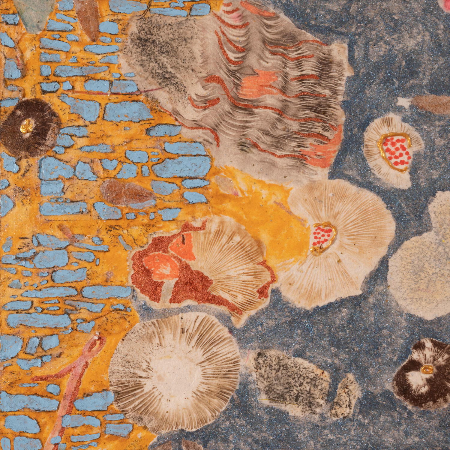 Mushroom Spore Prints