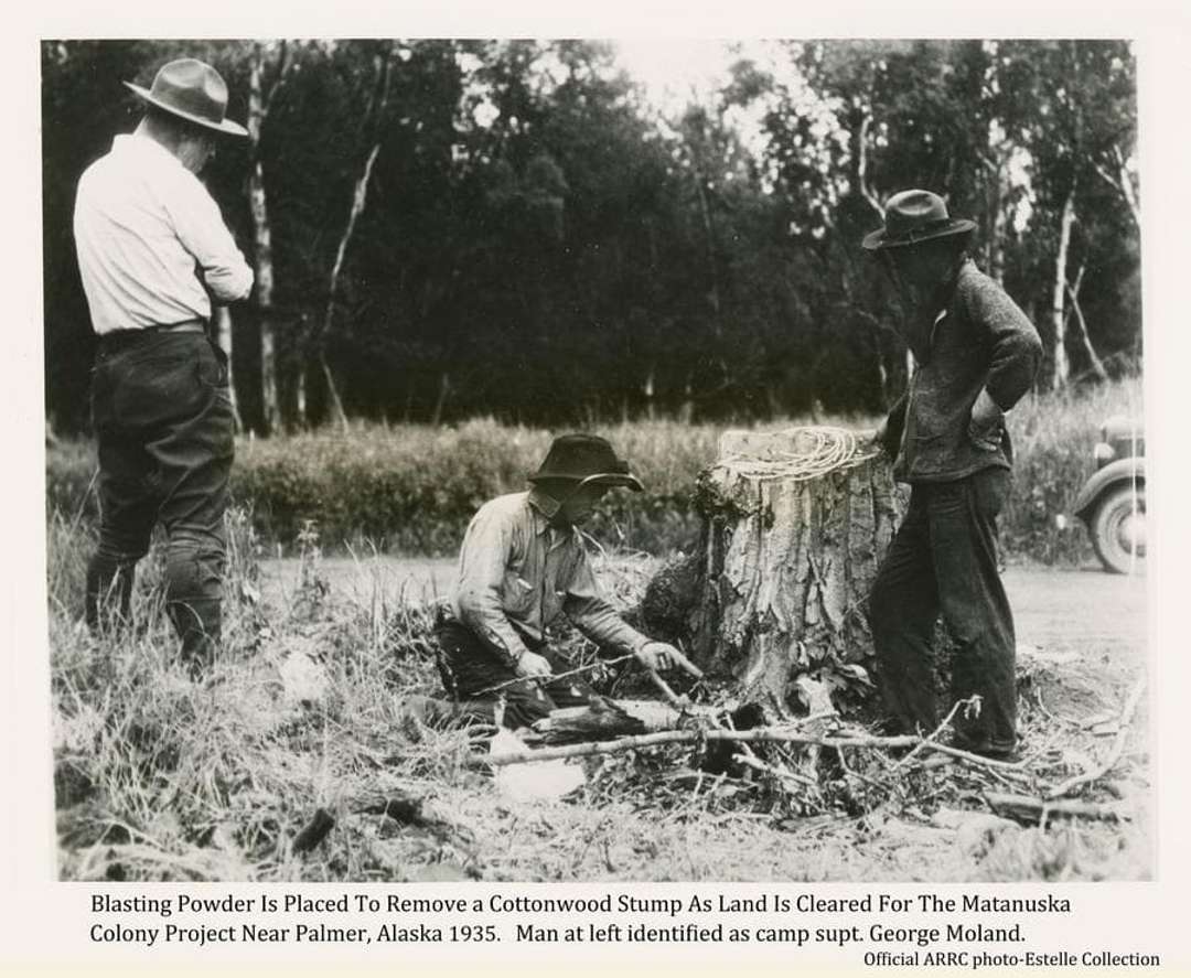 Dynamiting Stumps - Matanuska Valley Historical Photo Project