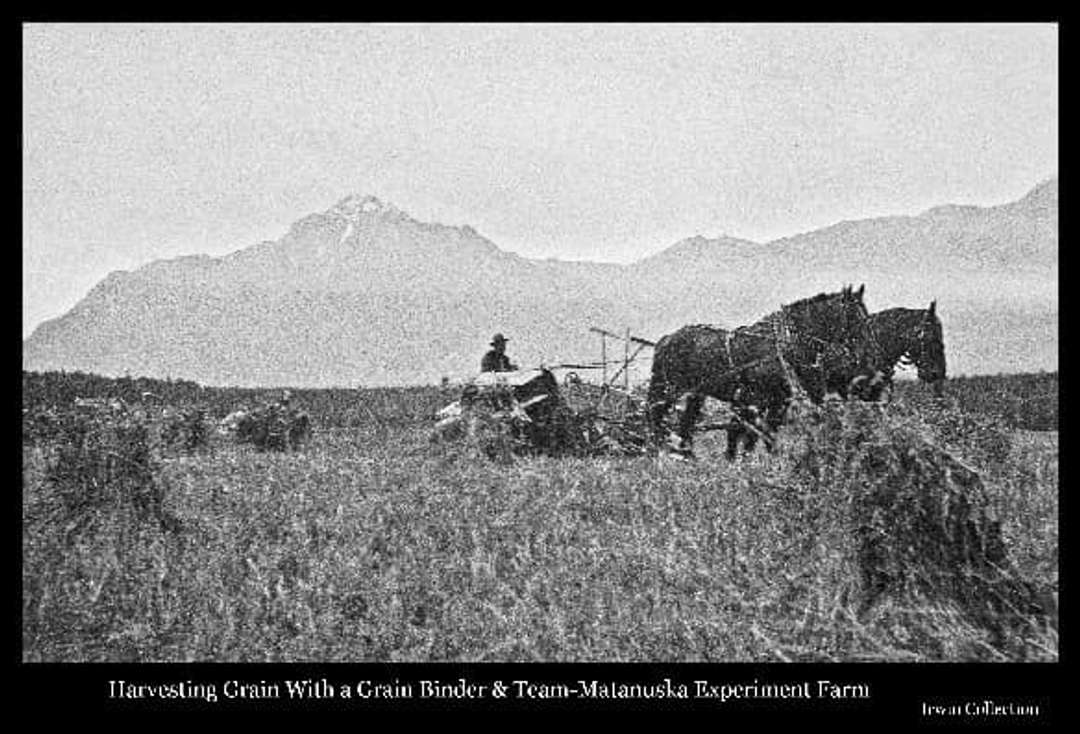 Experiment Farm 19 - Matanuska Valley Historical Photo Project